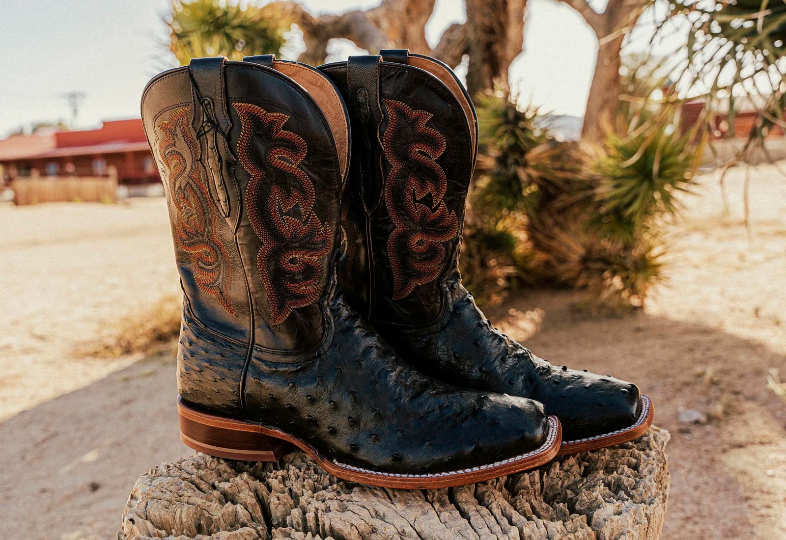 Tony Lama Boots | Un legado en la fabricación de botas desde 1911 ...
